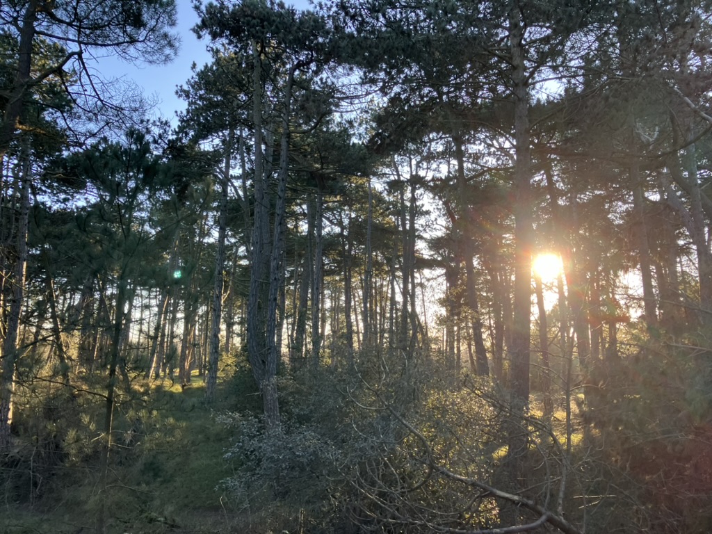 Deeper Mindfulness – The new way to rediscover calm in a chaotict world